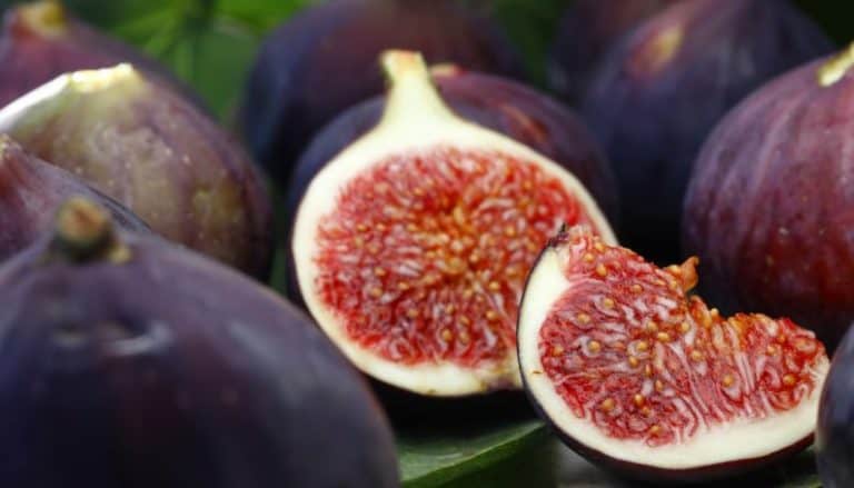 19 Frutas que são de Safra Natural de Março