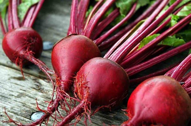 ⇒ Conheça os benefios da beterraba, e emegraça de forma saudavel